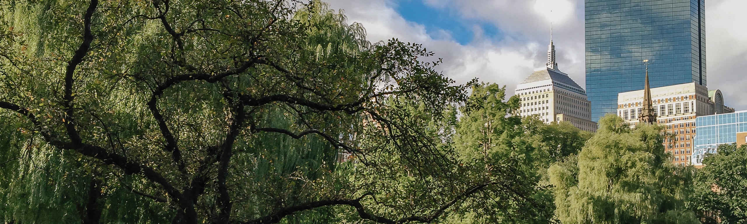 Home | Portfolio | FAQs | Inquiry Form | Our Team | News Room